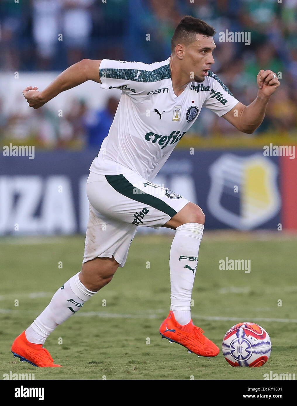 Mirassol, Brazil. 09th Mar, 2019. The player Moisés, of SE Palmeiras ...