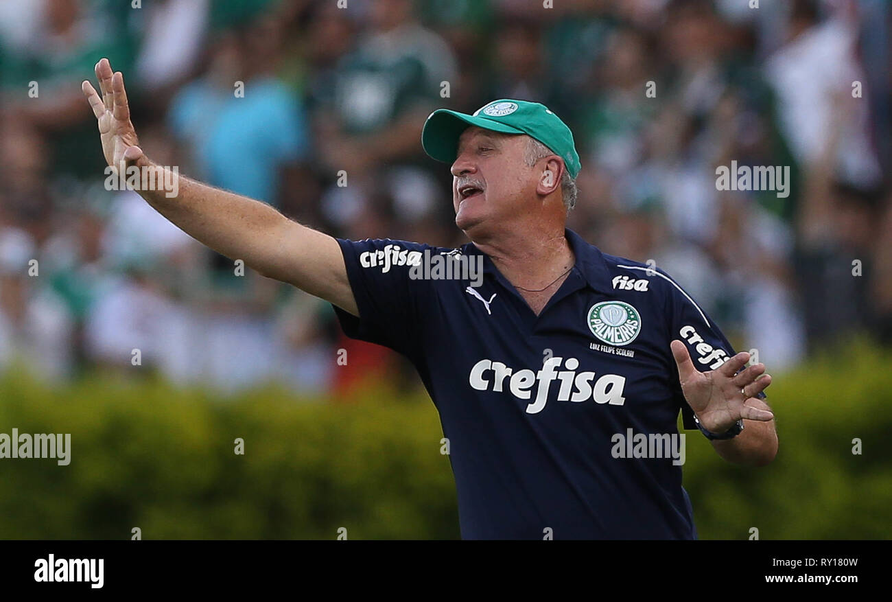 Mirassol, Brazil. 09th Mar, 2019. The coach Felipão, of SE Palmeiras ...