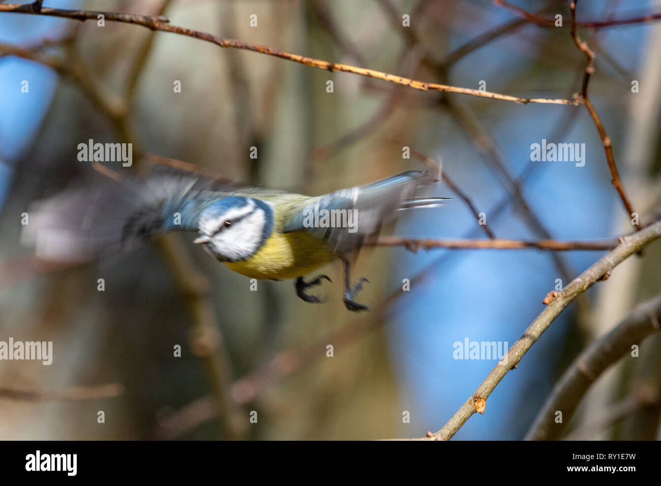 Ditchling common hi-res stock photography and images - Alamy