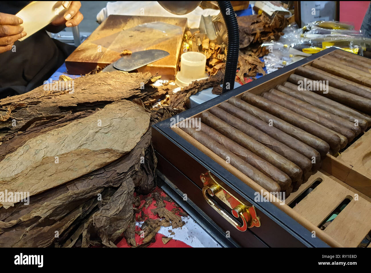 Cigar Production Stock Photos & Cigar Production Stock Images - Alamy