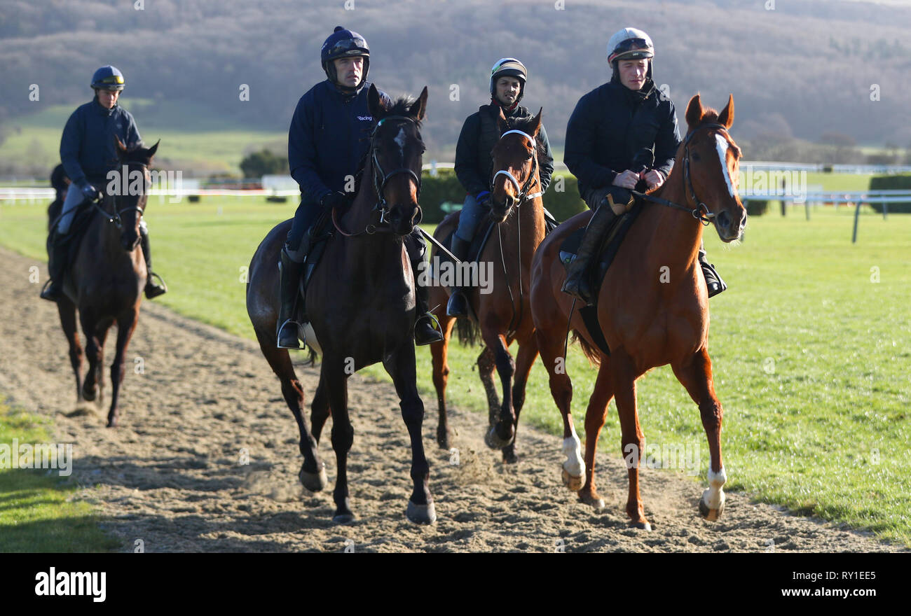 Ruby walsh 2019 hi-res stock photography and images - Alamy