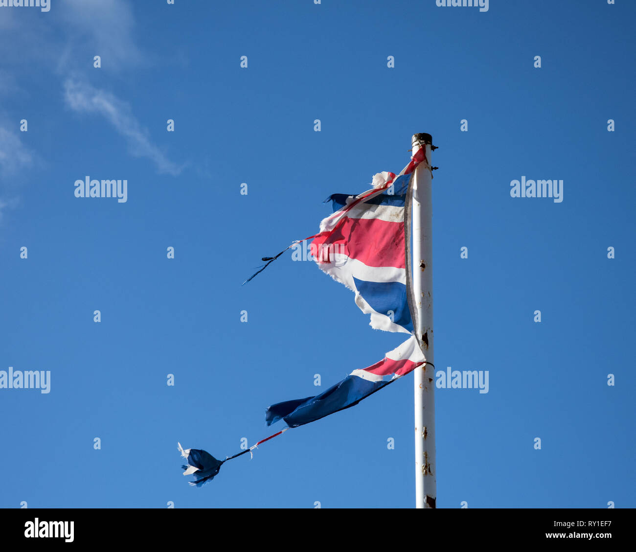 Wind damaged flag of Great Britain flying in high winds Stock Photo - Alamy