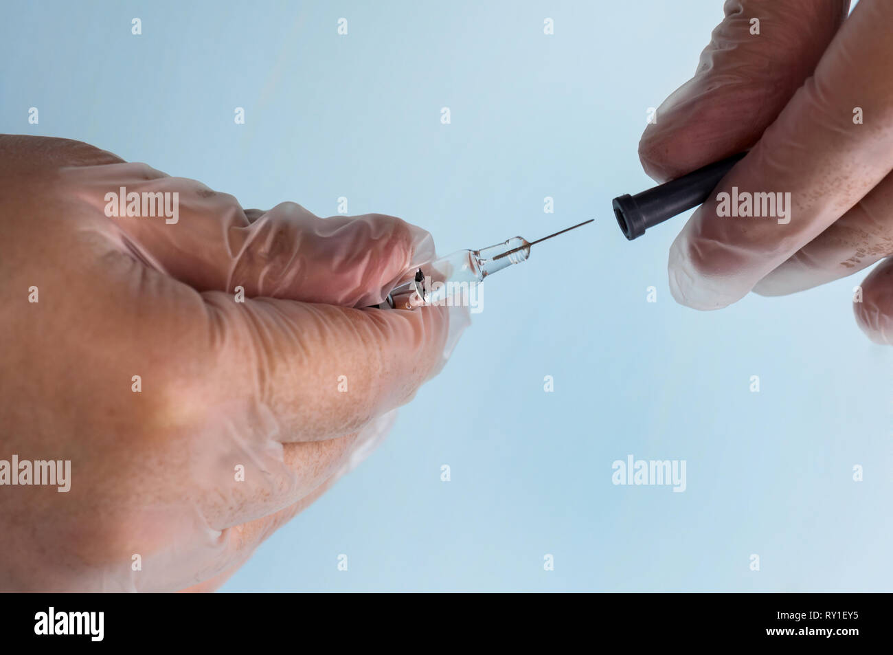 A male hand in a transparent medical nitrile glove holds a small ...