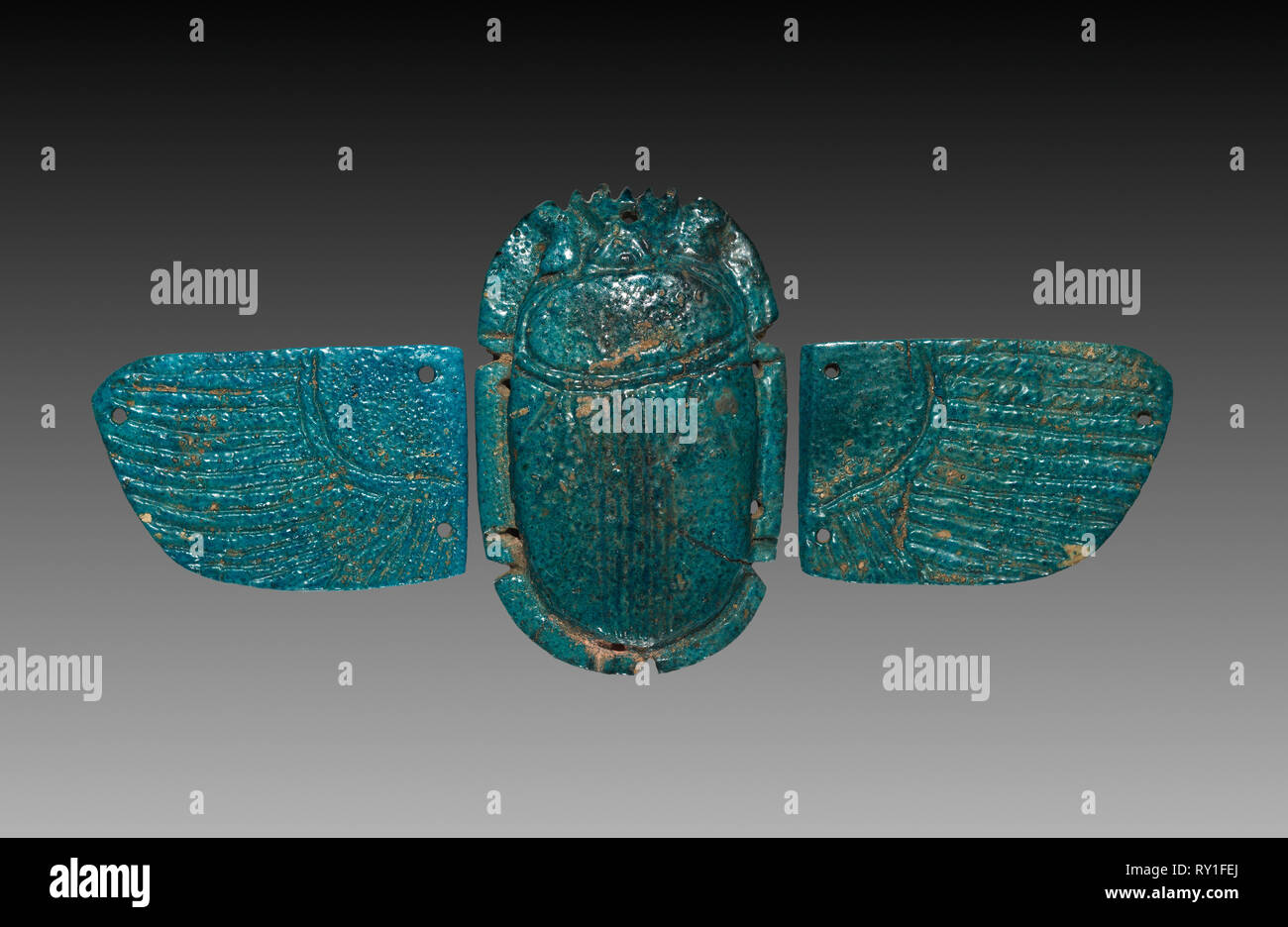 Winged pectoral scarab hi-res stock photography and images - Alamy