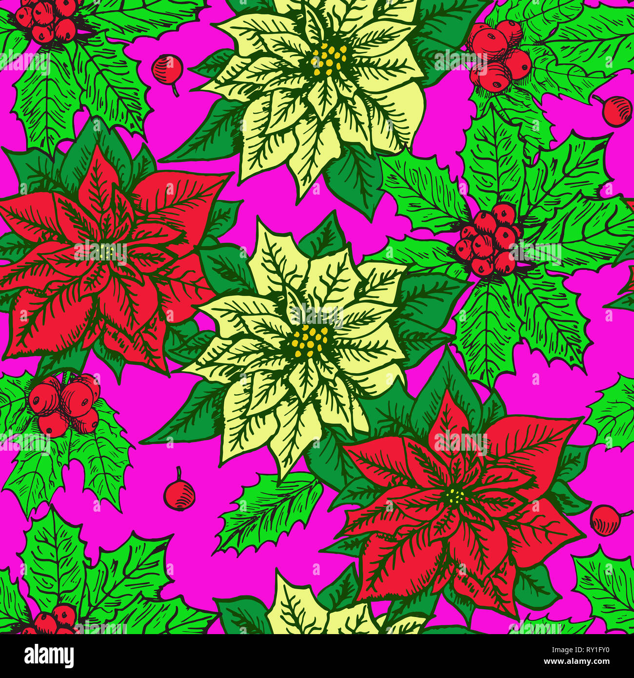 Colorful poinsettia and holly, hand drawn doodle sketch color ...