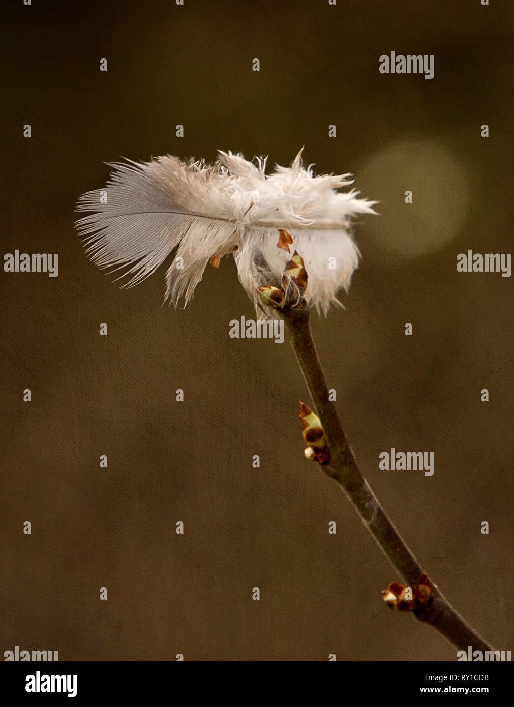 Nature balance hi-res stock photography and images - Alamy