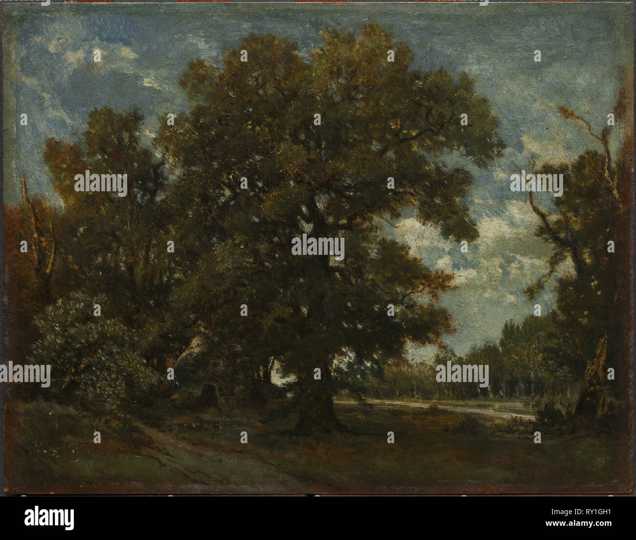 The Oak Tree, 19th century. Imitator of Théodore Rousseau (French, 1812 ...