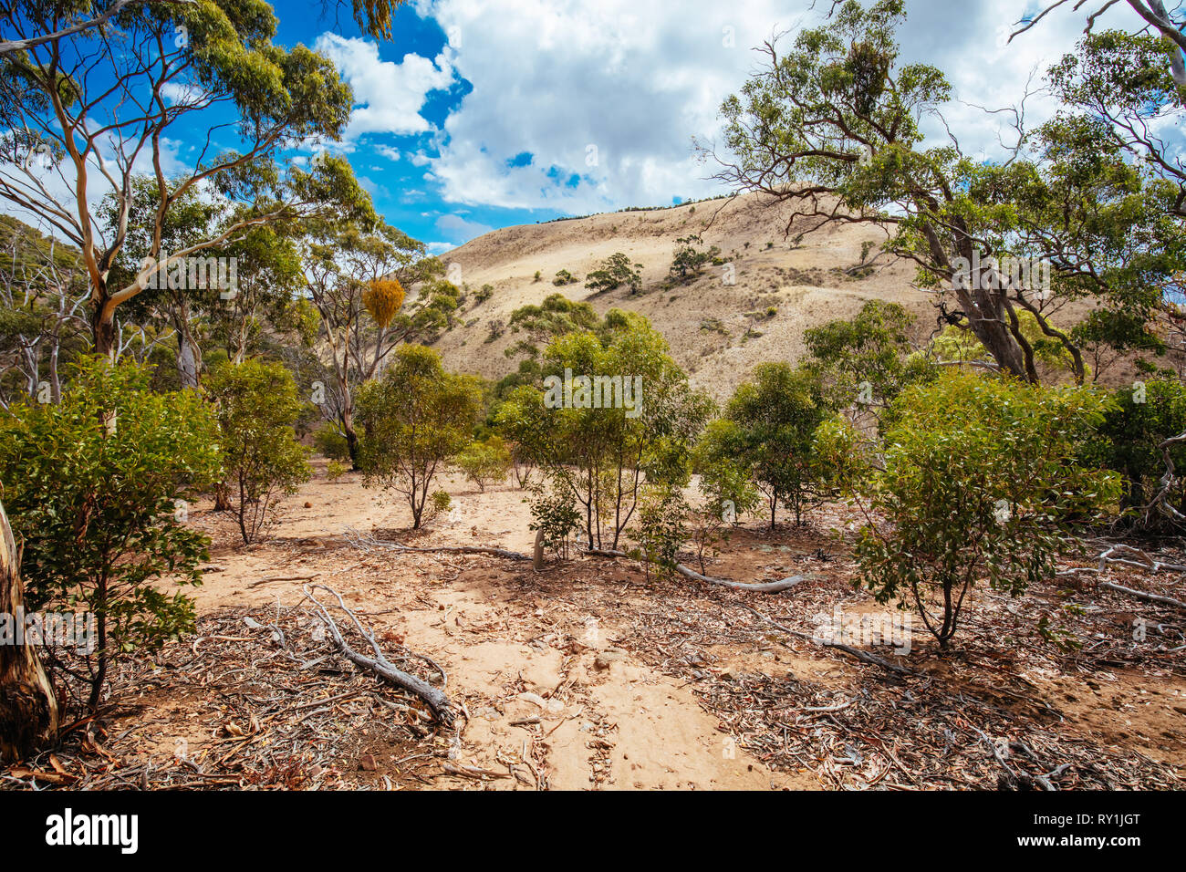 Werribee Gorge Victoria Australia Stock Photo - Alamy