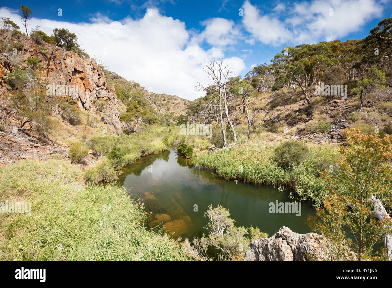Arid australia hi-res stock photography and images - Alamy