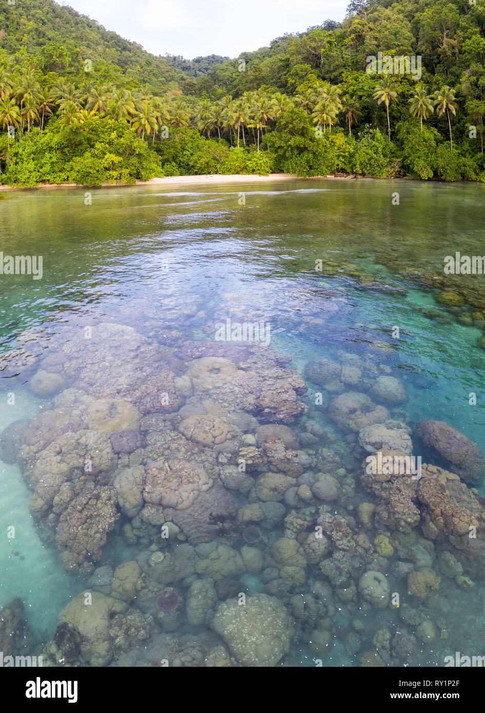 Aerial view of reef and island in Papua New Guinea. The remote ...