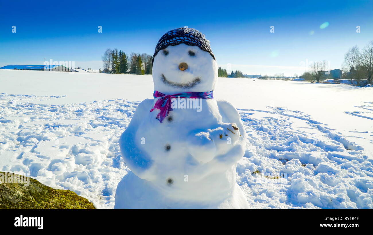 The adorable snowman with colorful bowtie on his neck bonnet on the ...