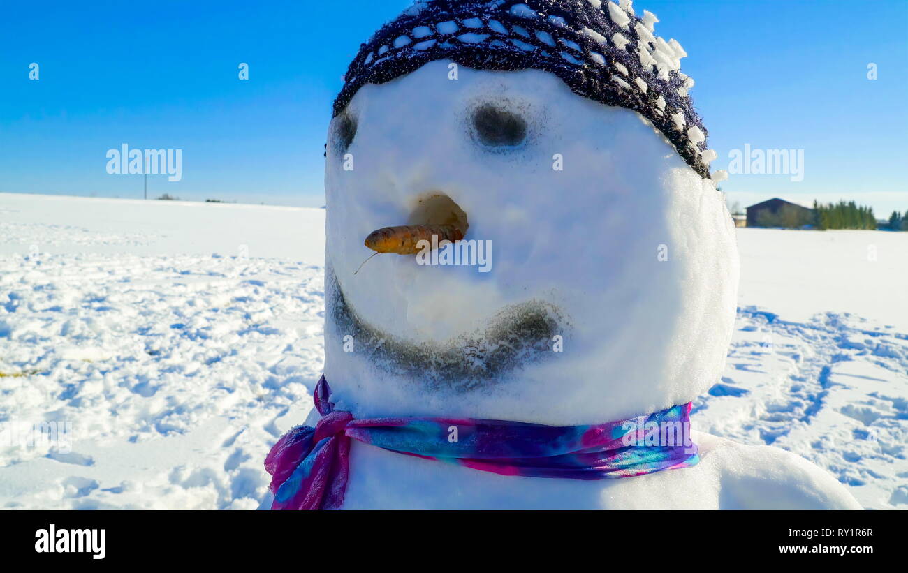 The snowman with long nose and bonnet. The snowman standing on the ...