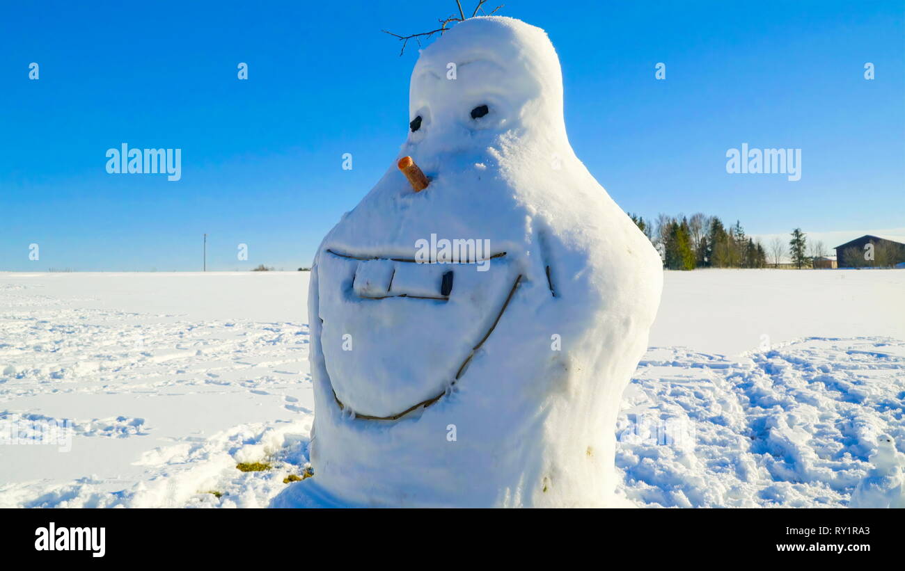 The snowman that looks like Olaf from a movie during a winter season in ...