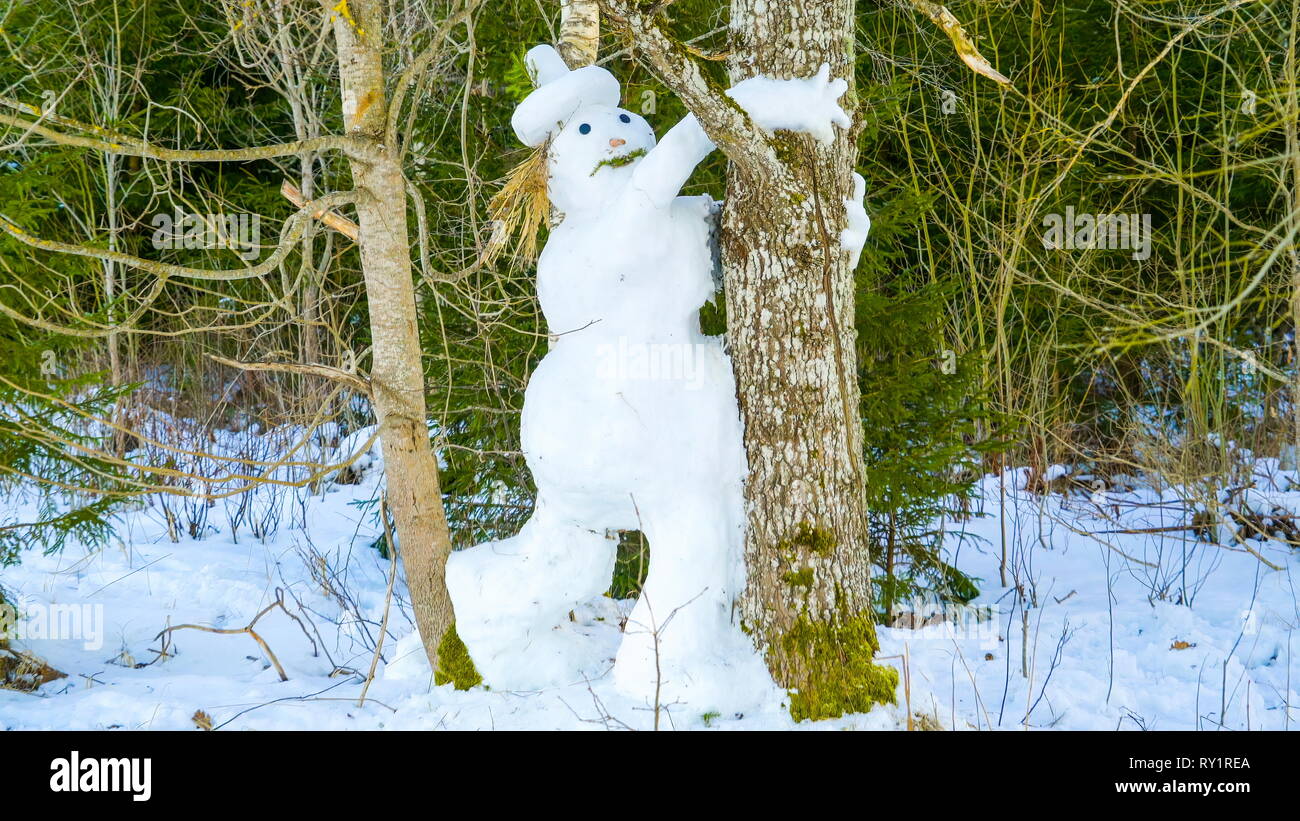 A big white snowman hugging a tree. He is hugging the big tree with his ...