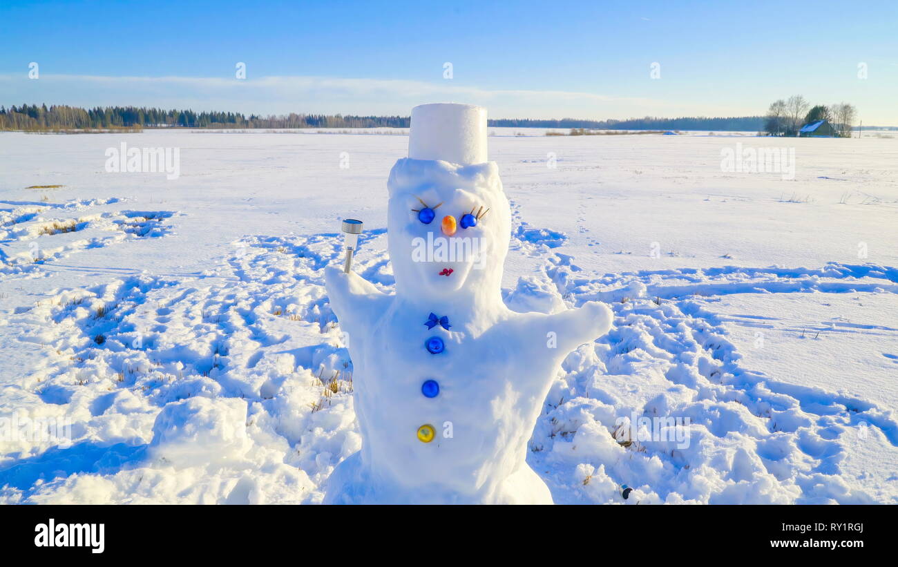 A lady snowman with white cap on the head. She has a long lashes on her ...