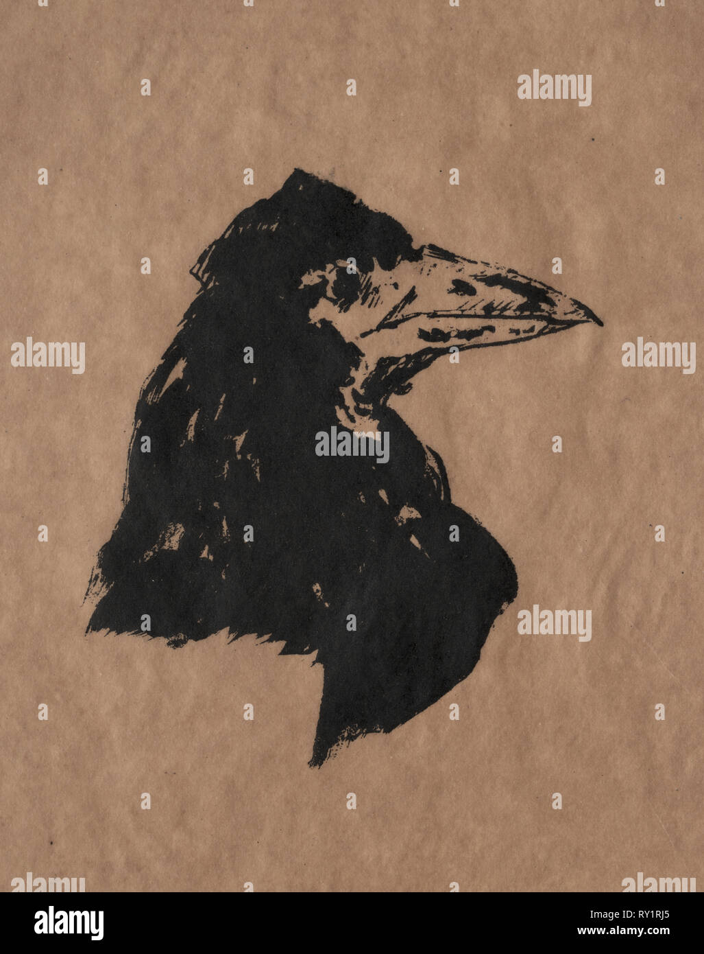 Raven Head. Edouard Manet (French, 1832-1883). Lithograph Stock Photo ...