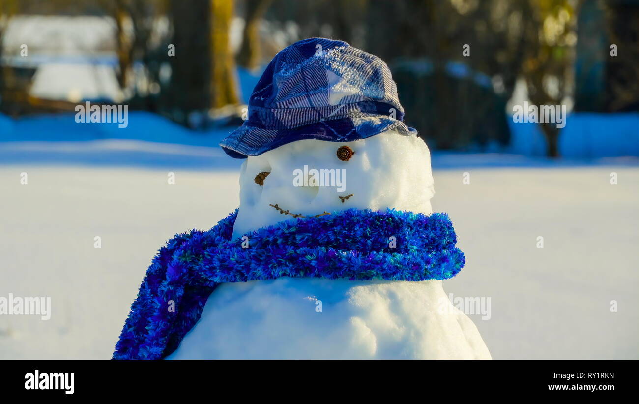 The snowman with blue cap and scarf on his neck and black buttons on ...