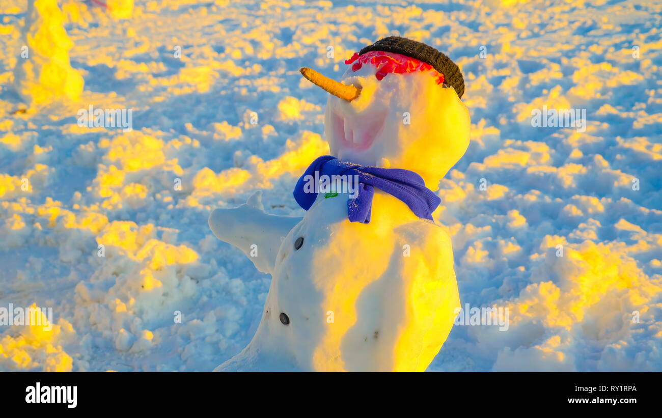 A thin long snowman with long carrot nose wearing a black bonnet cap ...