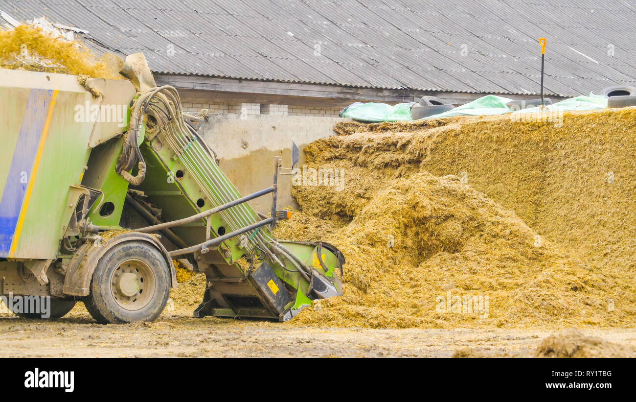 Fodder crops hi-res stock photography and images - Alamy