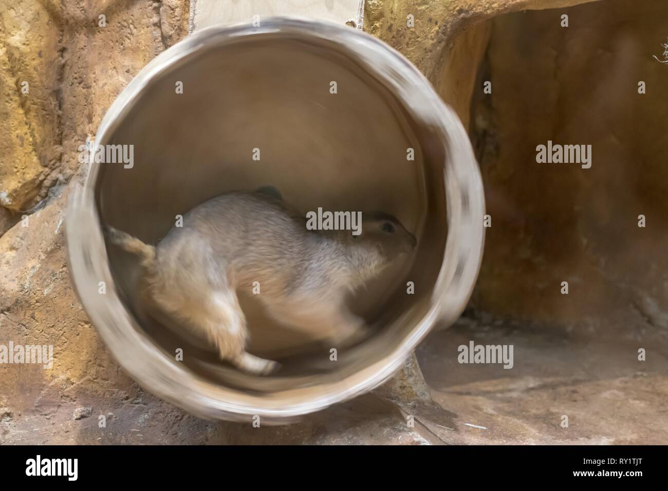 What goes round hi-res stock photography and images - Alamy