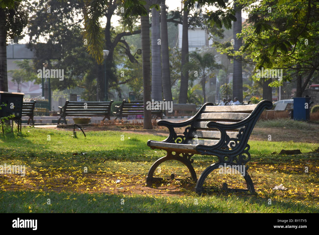 Bench On Park Stock Photo - Alamy