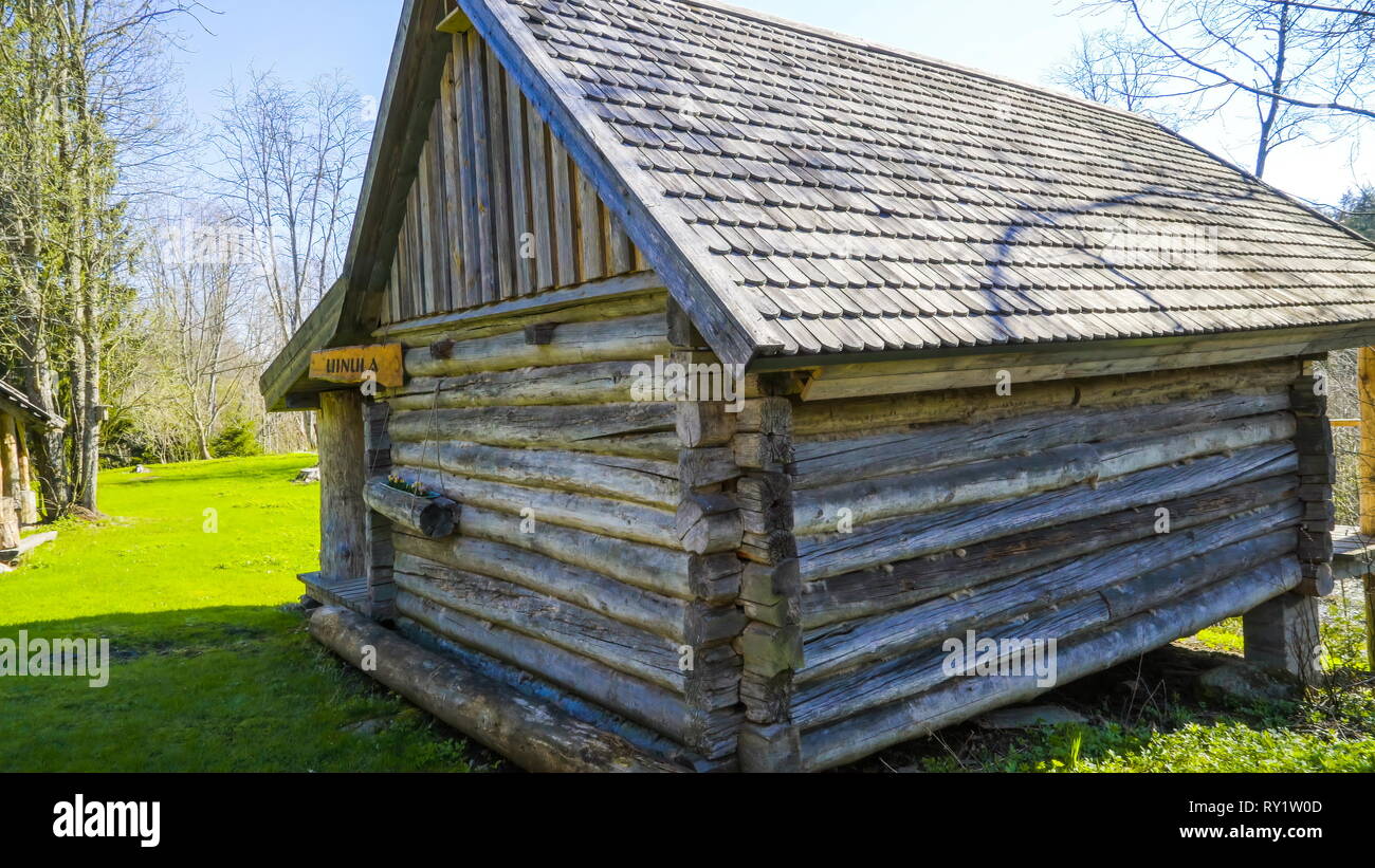 The wooden shingle cabin house with a dog walking outside the yard ...