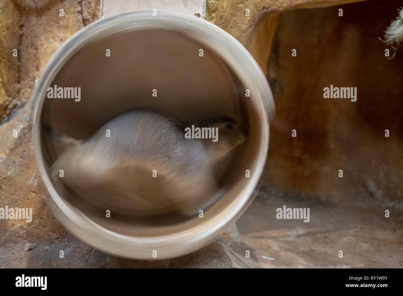 What goes round hi-res stock photography and images - Alamy