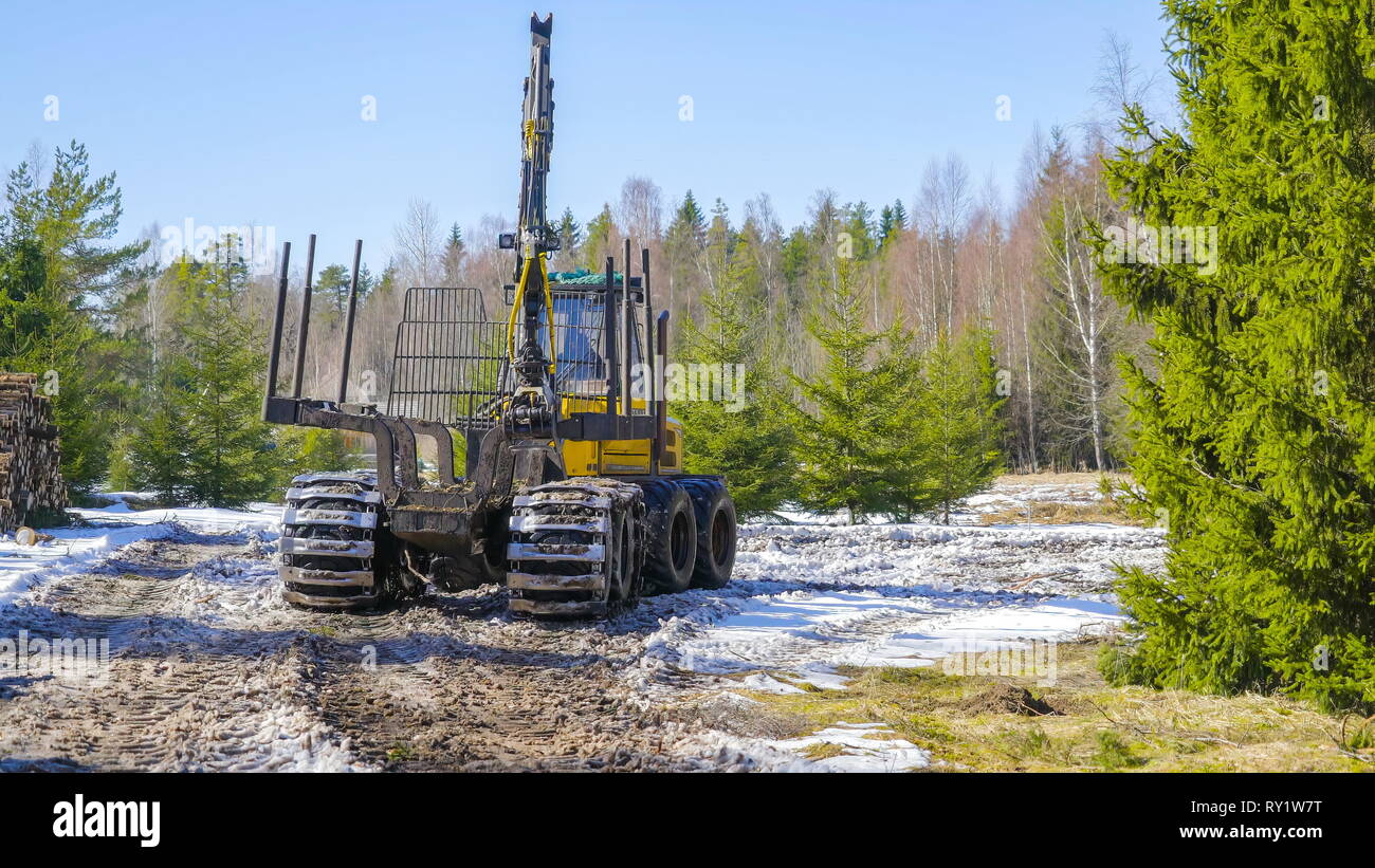 A travelling forvarder harvester with the flat tires rolling around the ...