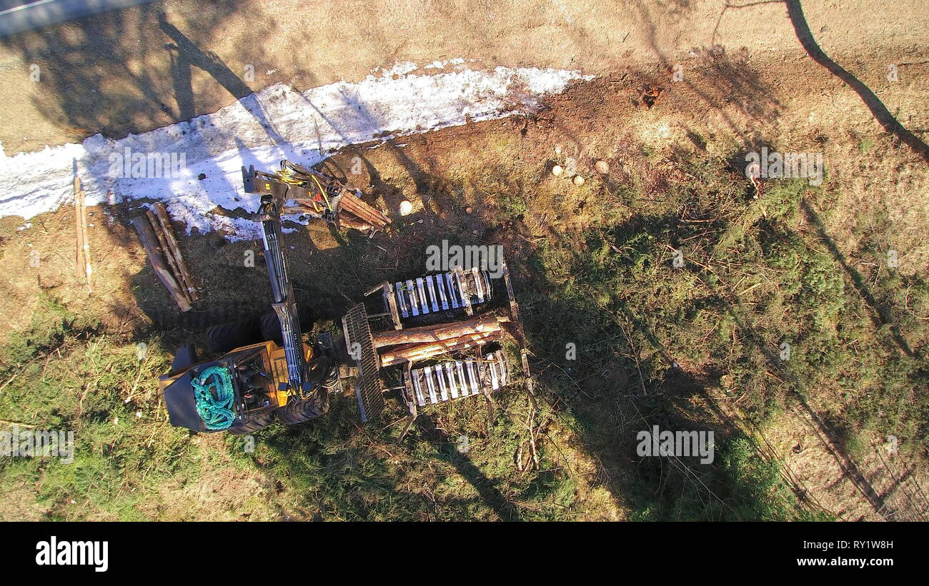 Log piling hi-res stock photography and images - Alamy