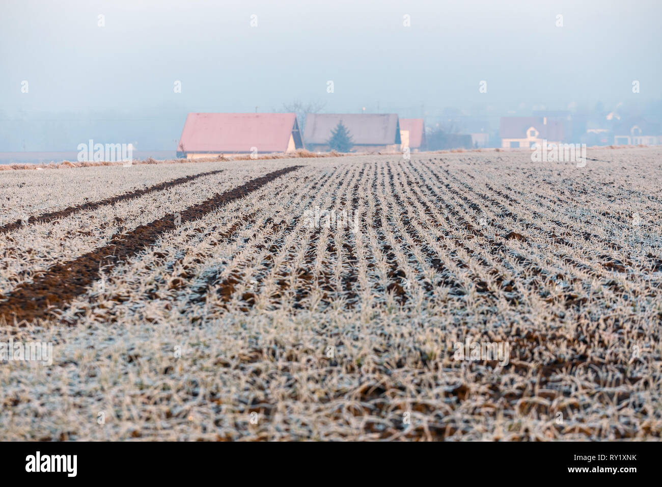 Sunrise over frosted meadow hi-res stock photography and images - Alamy