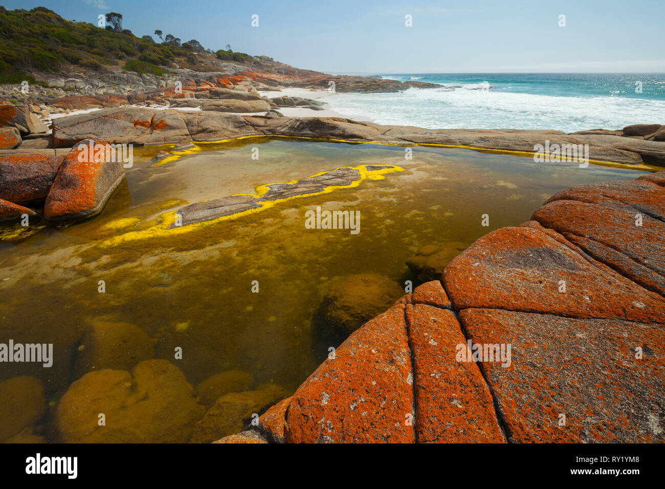 Rock pool - Bay of Fires - Tasmania Stock Photo - Alamy