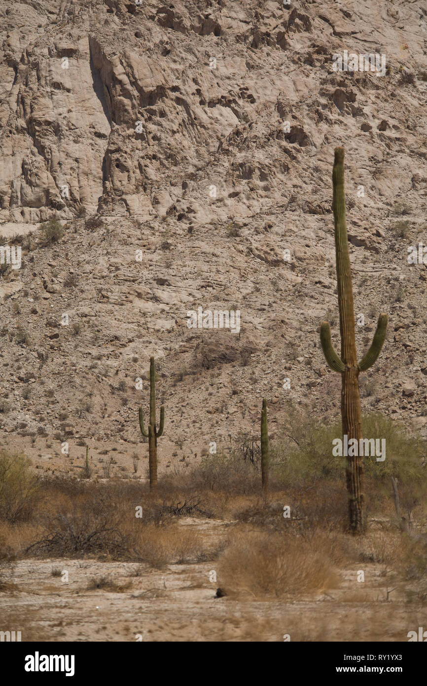 San luis río colorado, sonora hi-res stock photography and images - Alamy