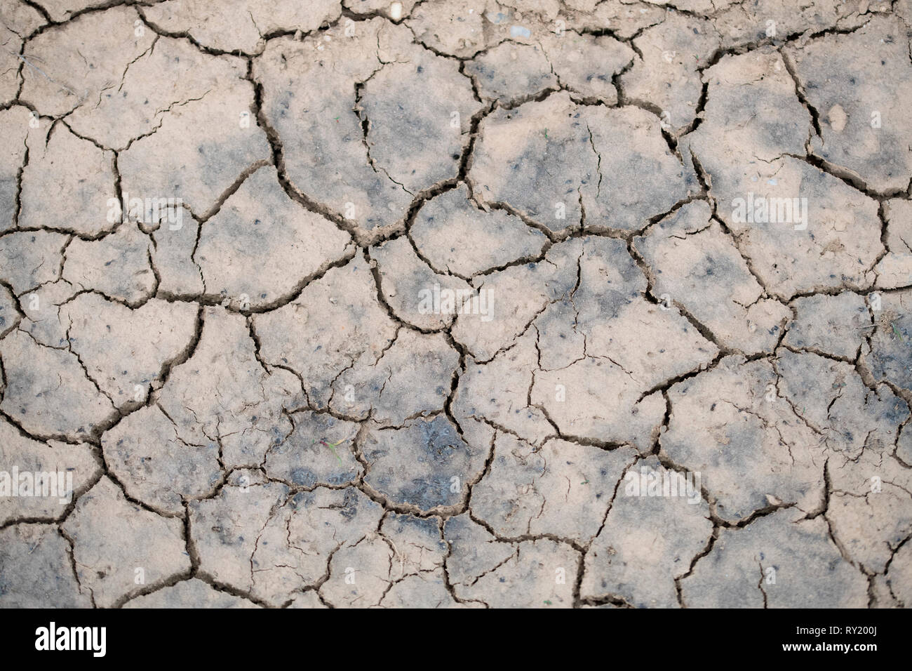 Germany drought hi-res stock photography and images - Alamy