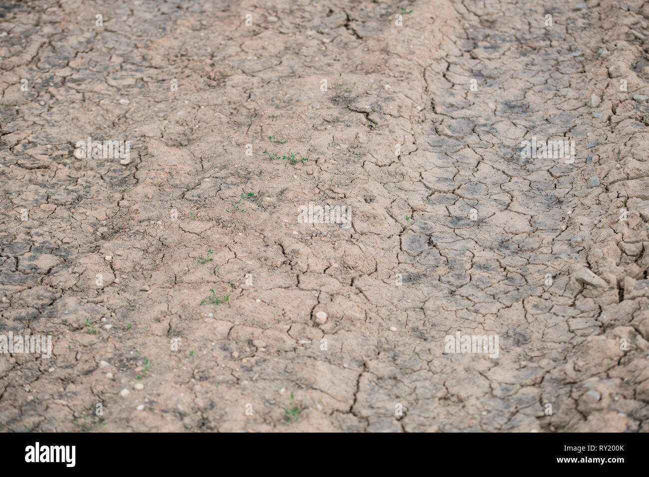 Europe drought hi-res stock photography and images - Alamy