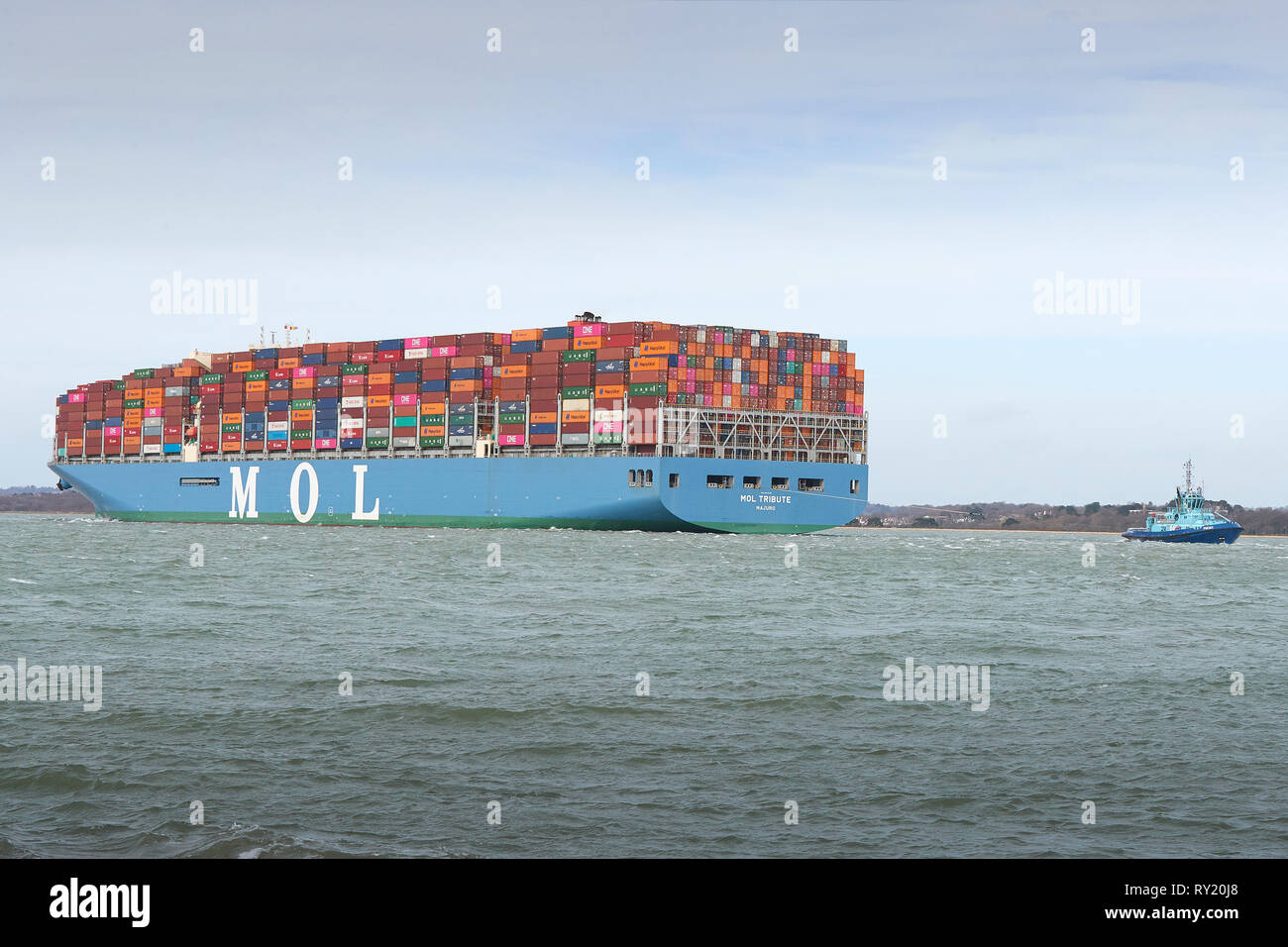 The Giant Container Ship, MOL TRIBUTE, Enters The Narrow Deep Water ...