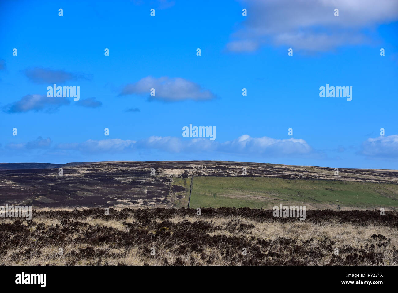 The Pennine Way on Heptonstall Moor, Heptonstall, Calderdale, West ...