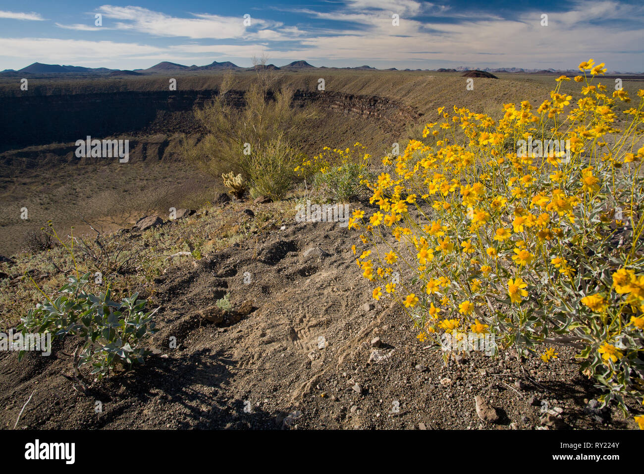 El Pinacate, Mpo. Puerto Peñasco, Sonora, Mexico Stock Photo - Alamy