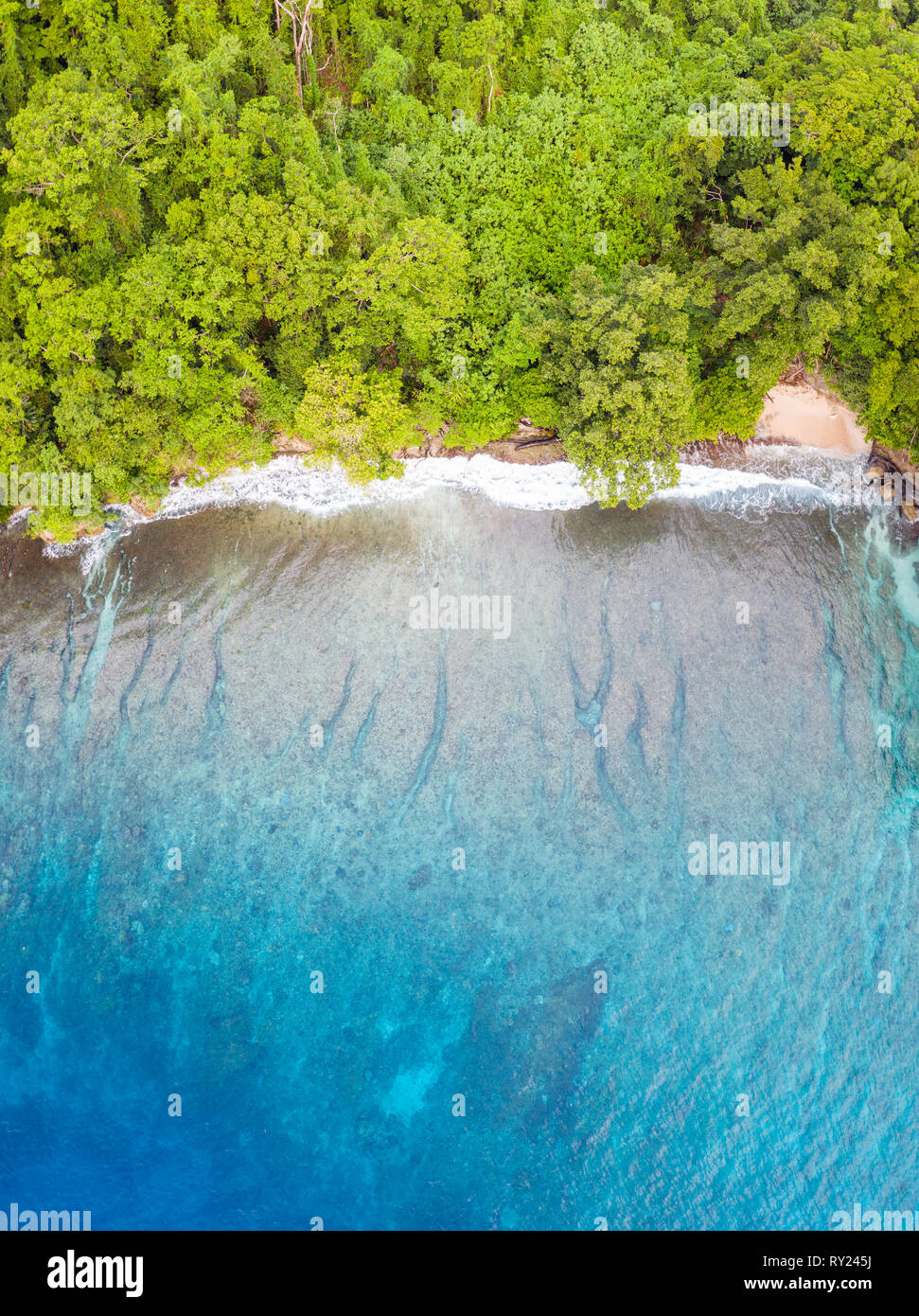 Aerial view of reef and island in Papua New Guinea. The remote ...