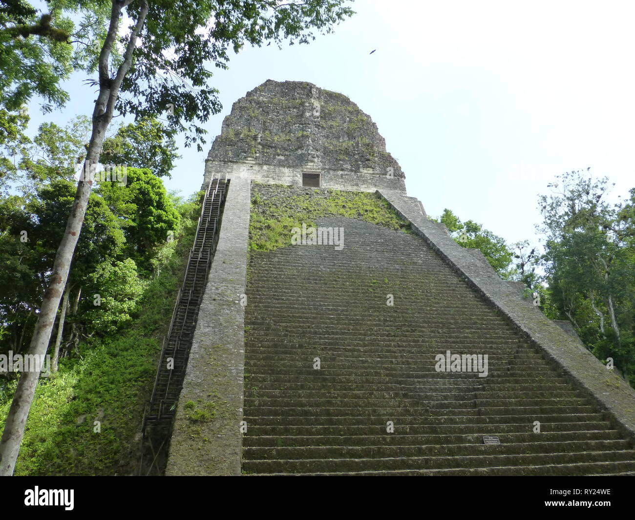 Mayan pyramid in Tikal Stock Photo - Alamy