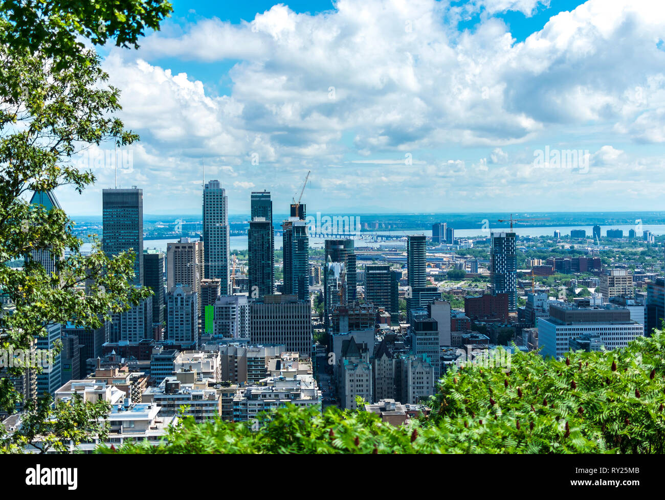 Mont royal montreal skyline summer hi-res stock photography and images ...