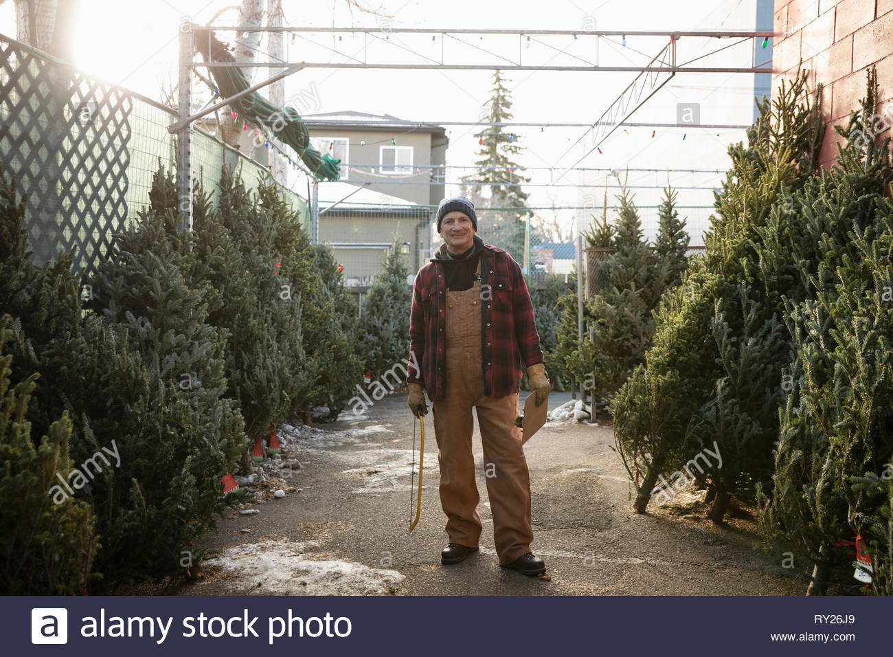 Posing by christmas tree hi-res stock photography and images - Alamy