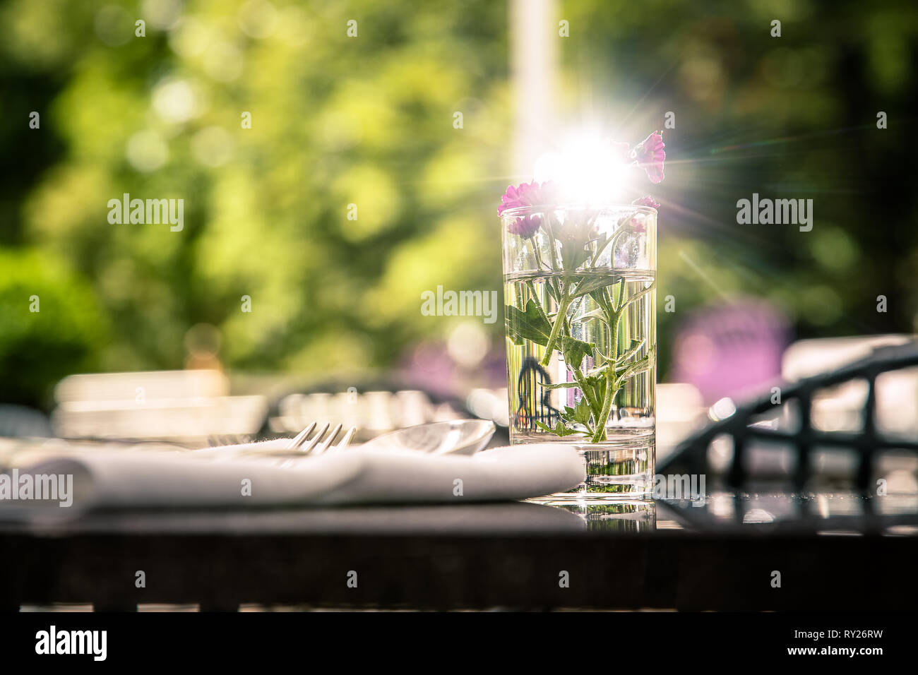 water glass with herbs and sun ray Stock Photo - Alamy