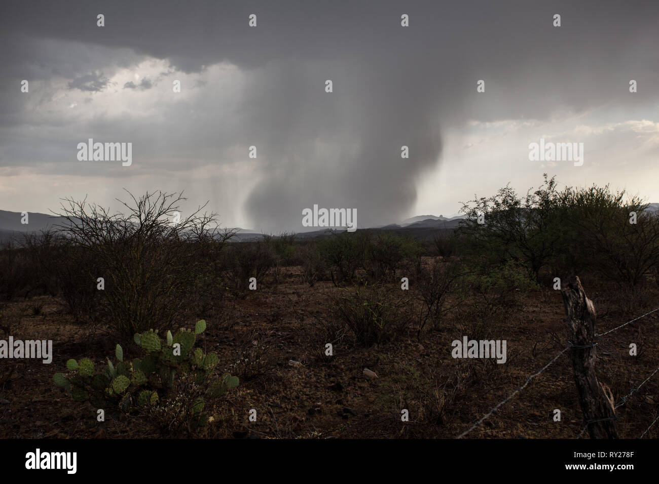 Arizpe, Mpo. Arizpe, Sonora, Mexico Stock Photo - Alamy