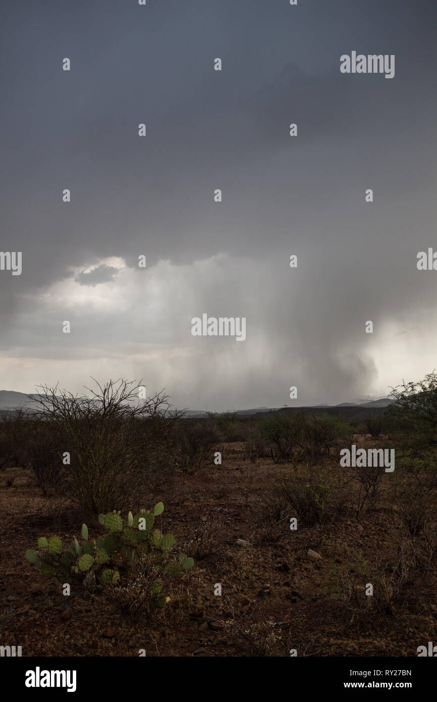 Arizpe hi-res stock photography and images - Alamy