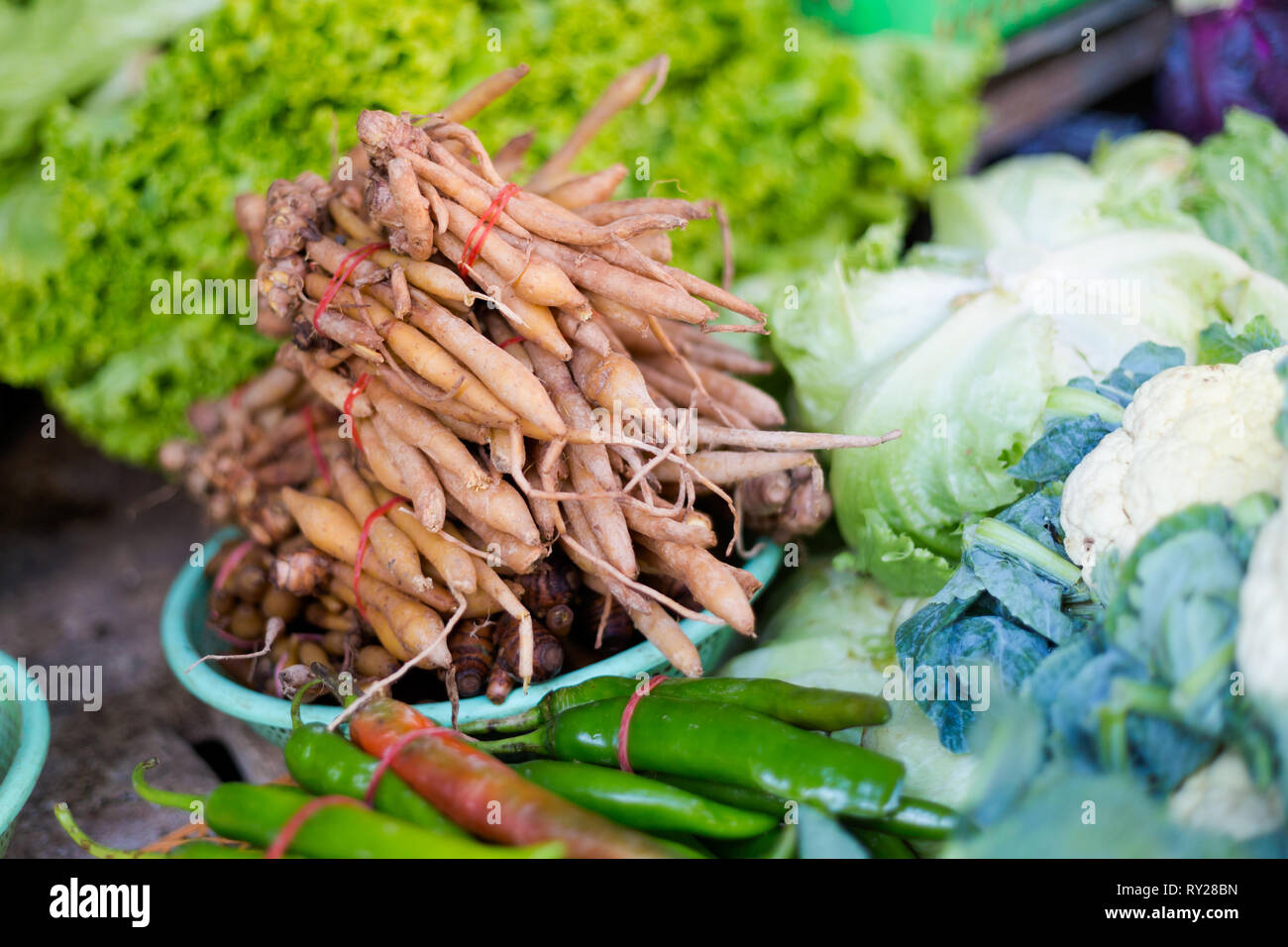Fresh asian green vegetables and finger root on market. Traditional ...