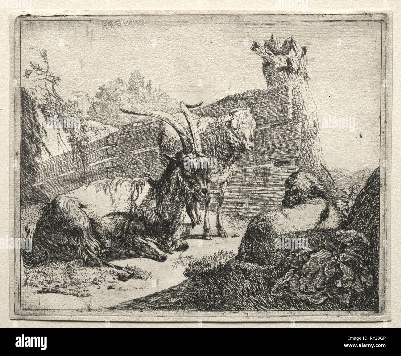 Johann roos hi-res stock photography and images - Alamy