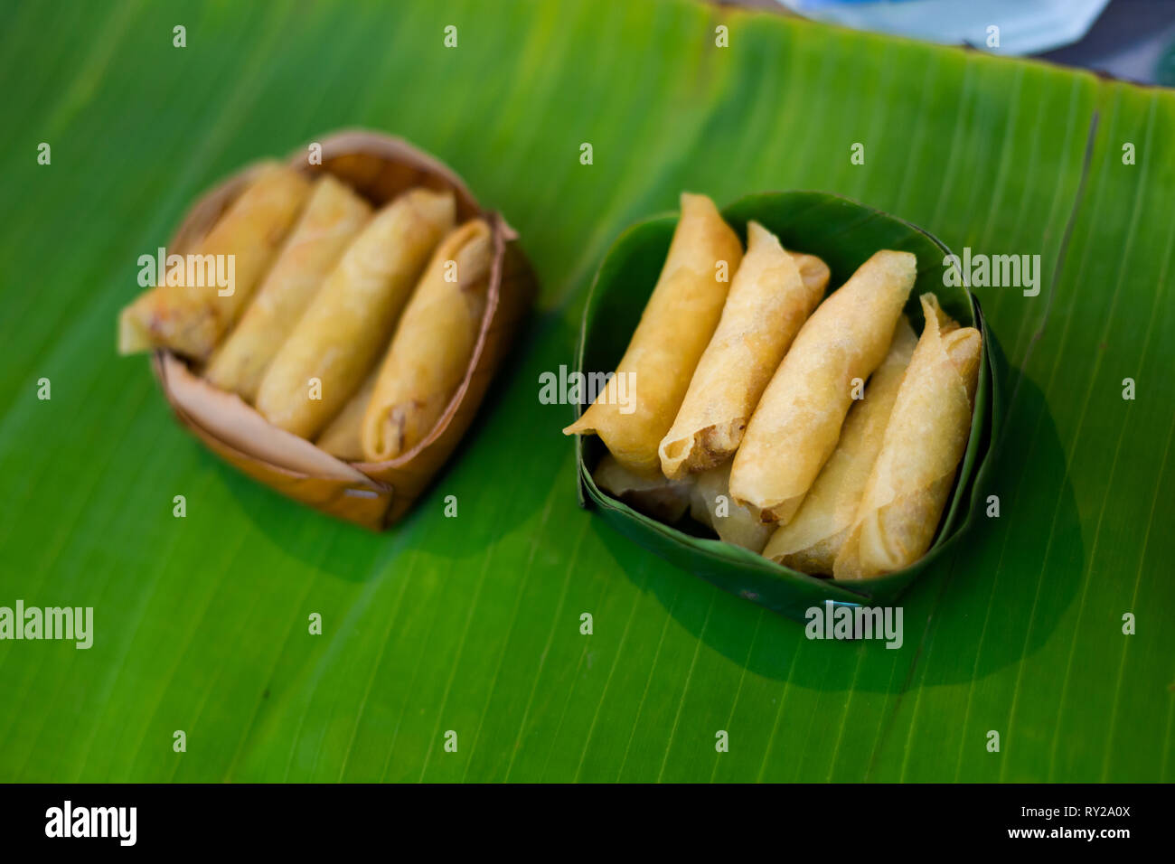 Fresh prepared asian fried spring rolls served on banana leaf ...