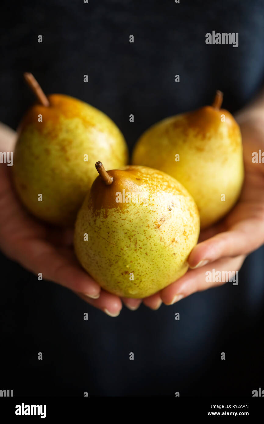 Russet pear leaf hi-res stock photography and images - Alamy