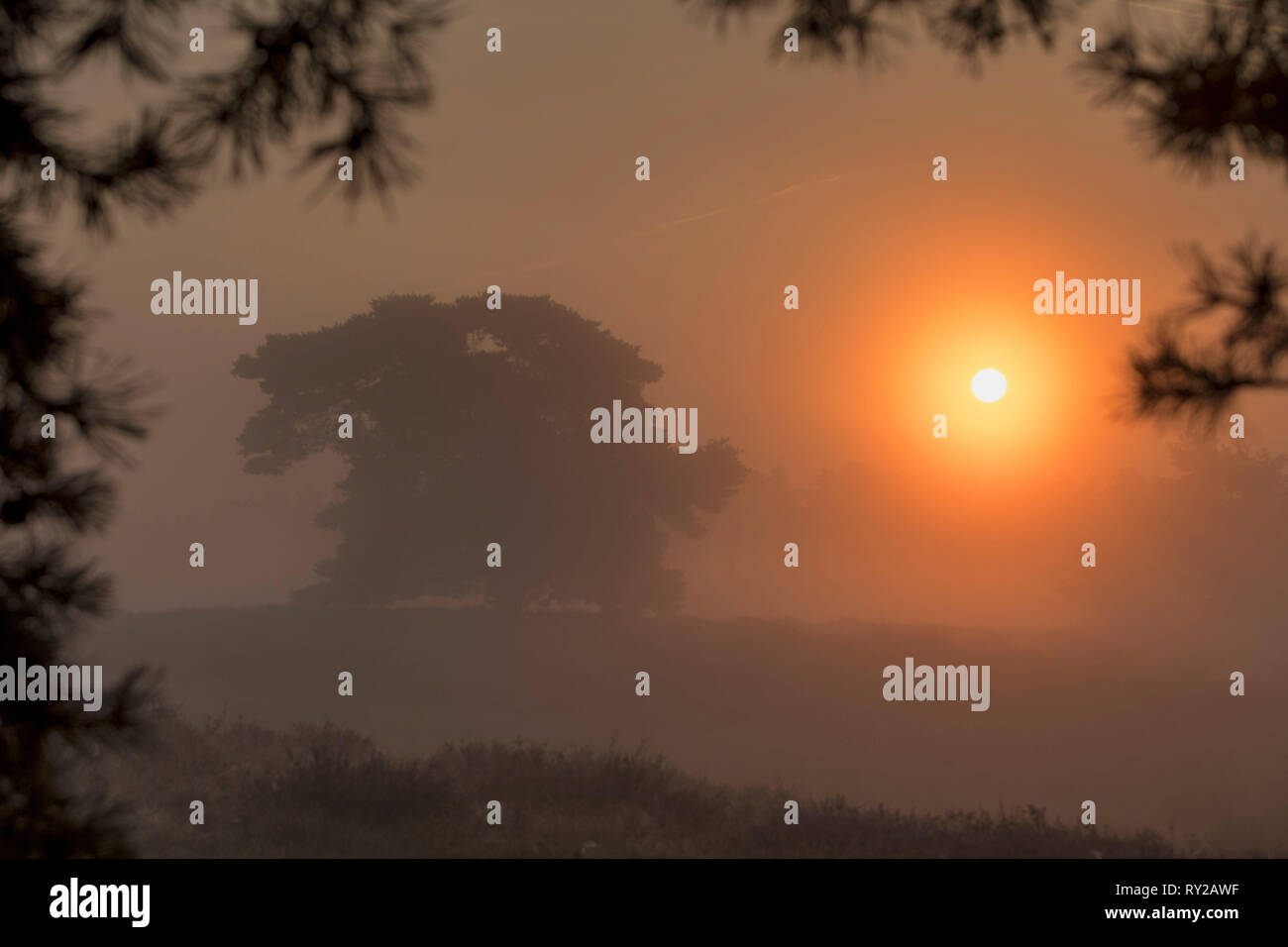 Rhine landscapes hi-res stock photography and images - Alamy