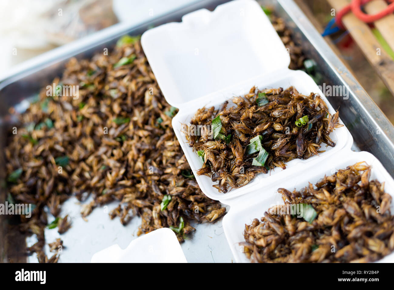 Traditional thai snack fried crickets on market. Asian snacks Stock ...